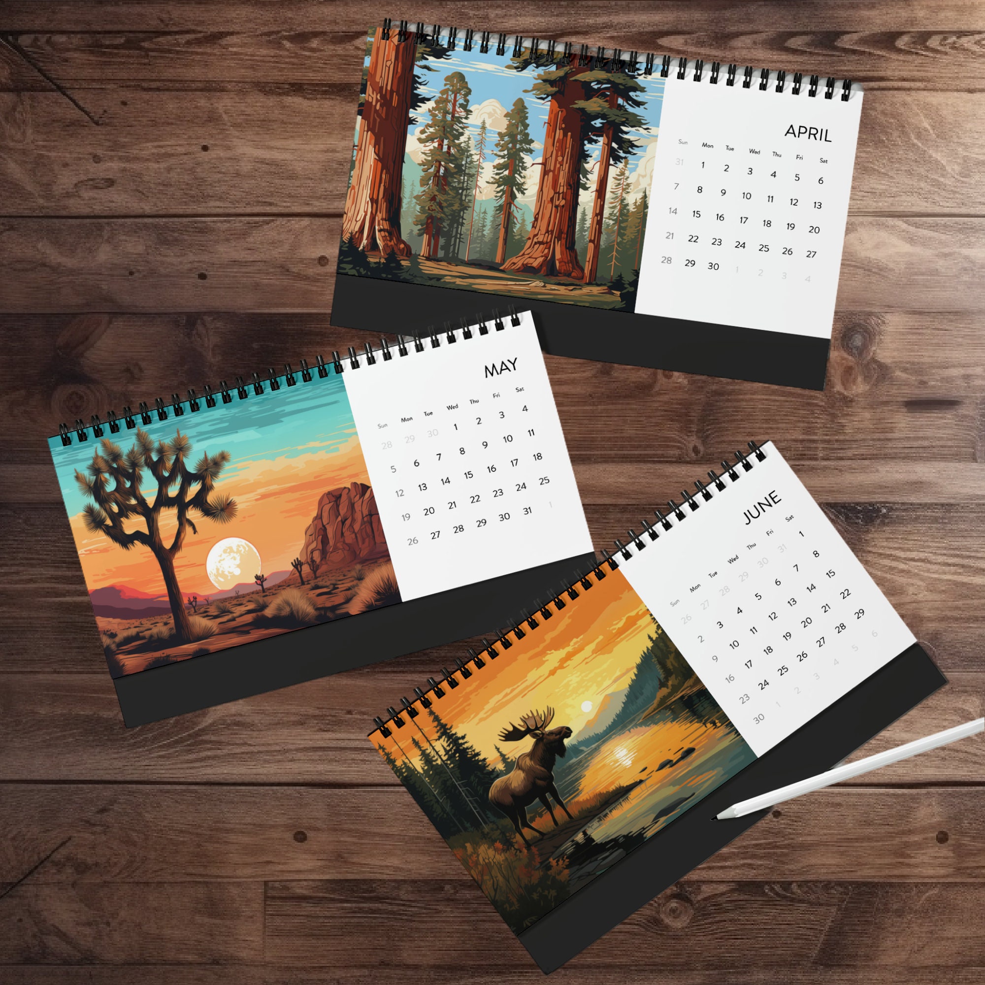 2024 National Park Desktop Calendar, Art of National Parks 2024 ...