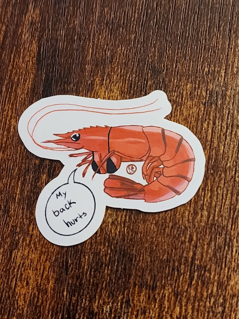 Shrimp Posture Mini Sticker - Etsy Shrimp Posture Mini Sticker - Etsy
