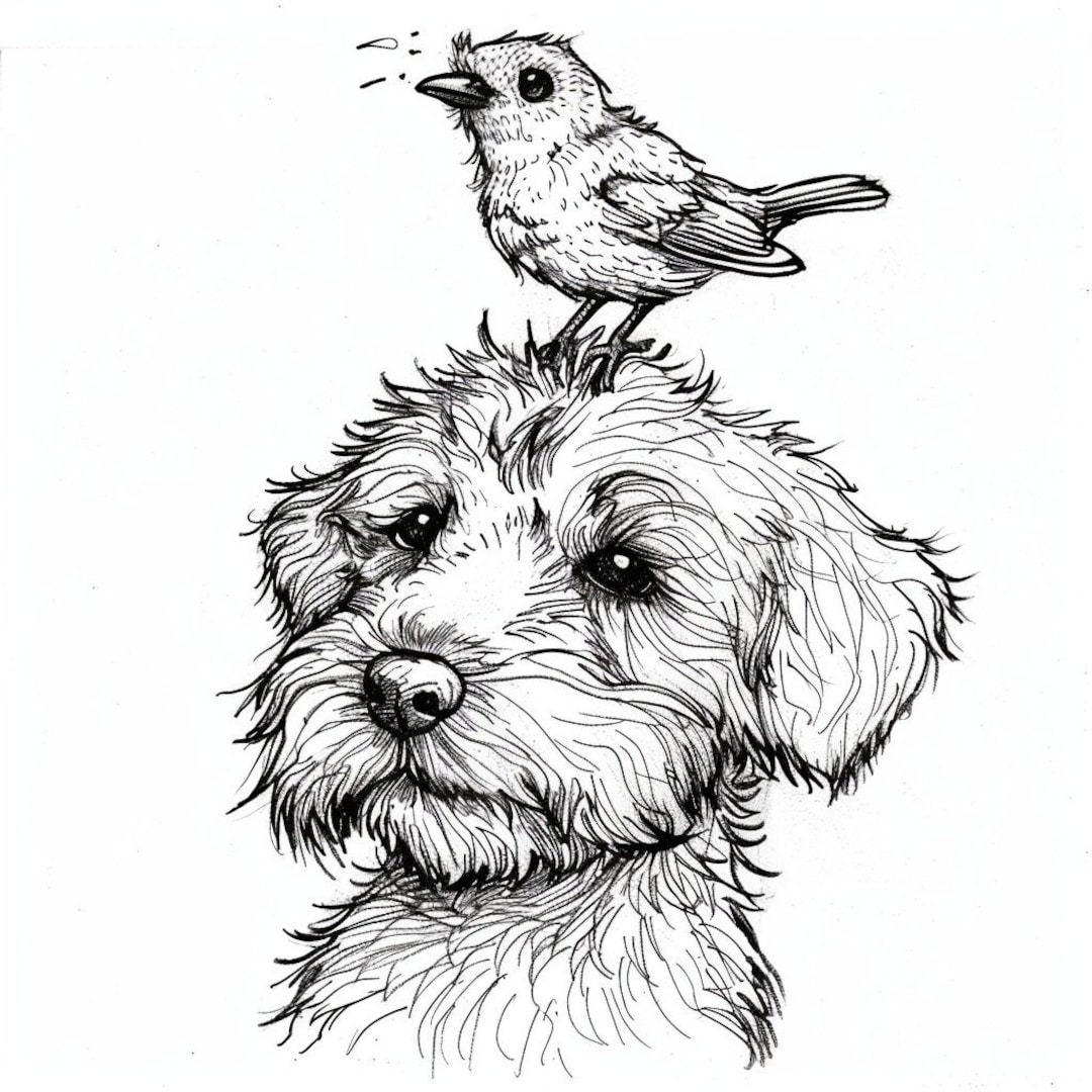 20 Unlikely Animal Friends Coloring Book Pages, Coloring Pages for Kids ...