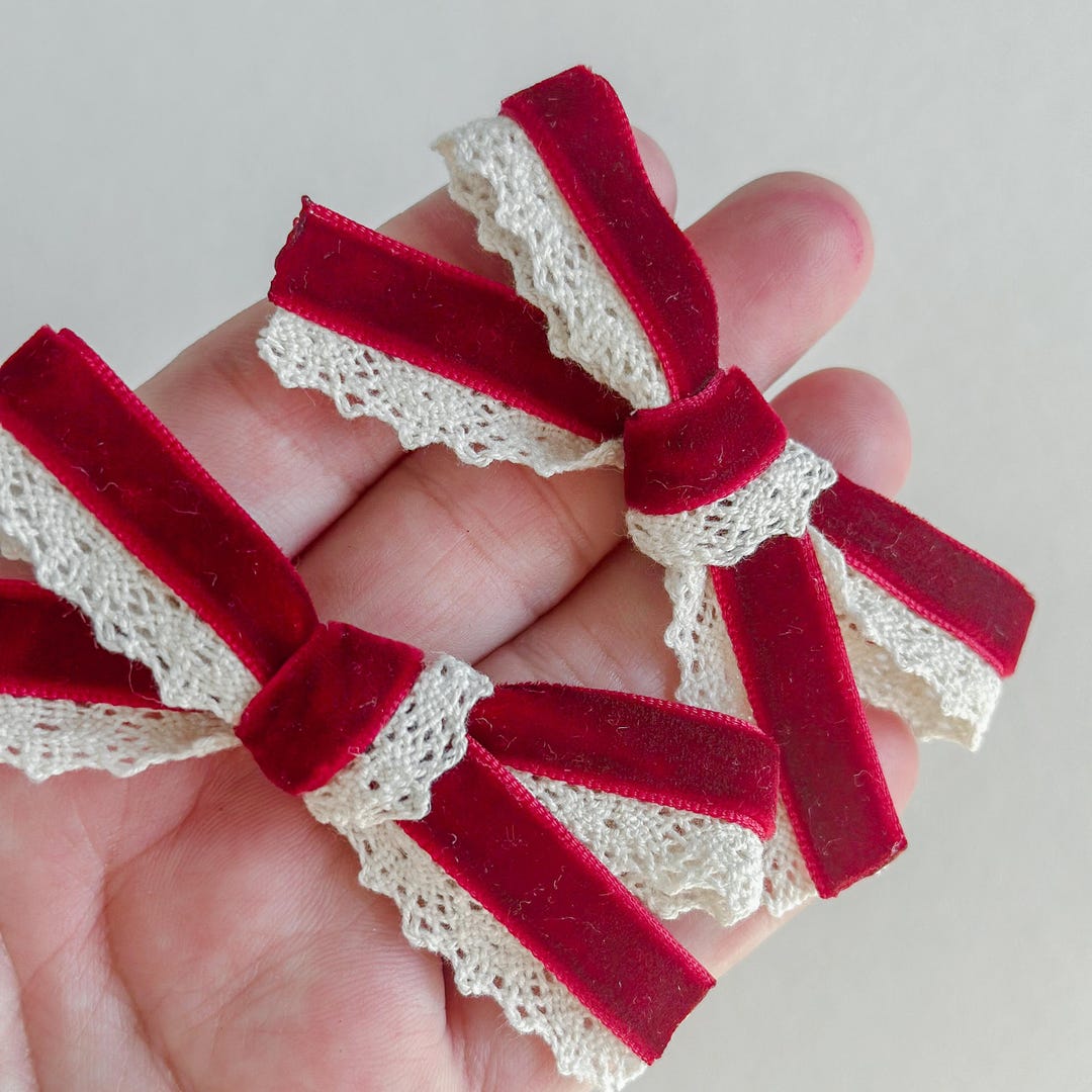 Scarlet Bow Vintage Hair Bow Lace Embroidered Bow Girl Coquette Trendy ...