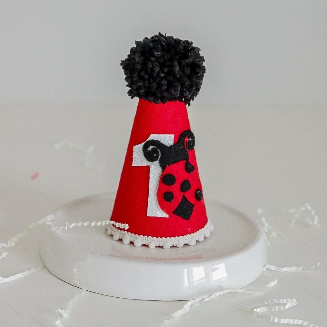 Love Bug First Birthday Hat Girl’s 1/2 Birthday Party Hat Ladybug 1st ...
