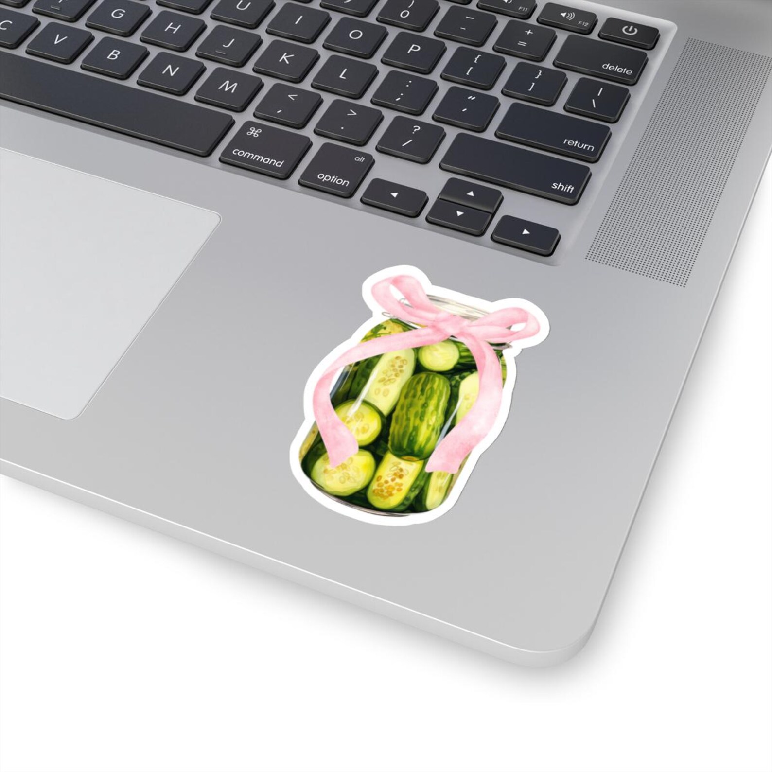 Girly Coquette Pickle Sticker for Pink Preppy Teenage Girl Gift, Kiss ...