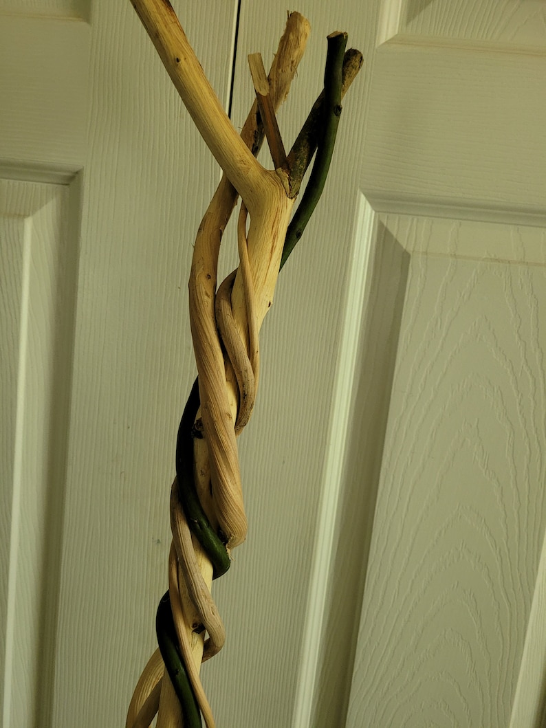 Bodak Twisted Staff - Etsy