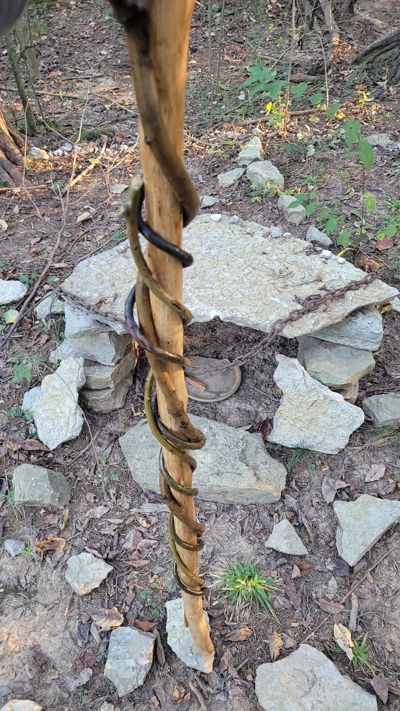 Bodak Twisted Staff - Etsy