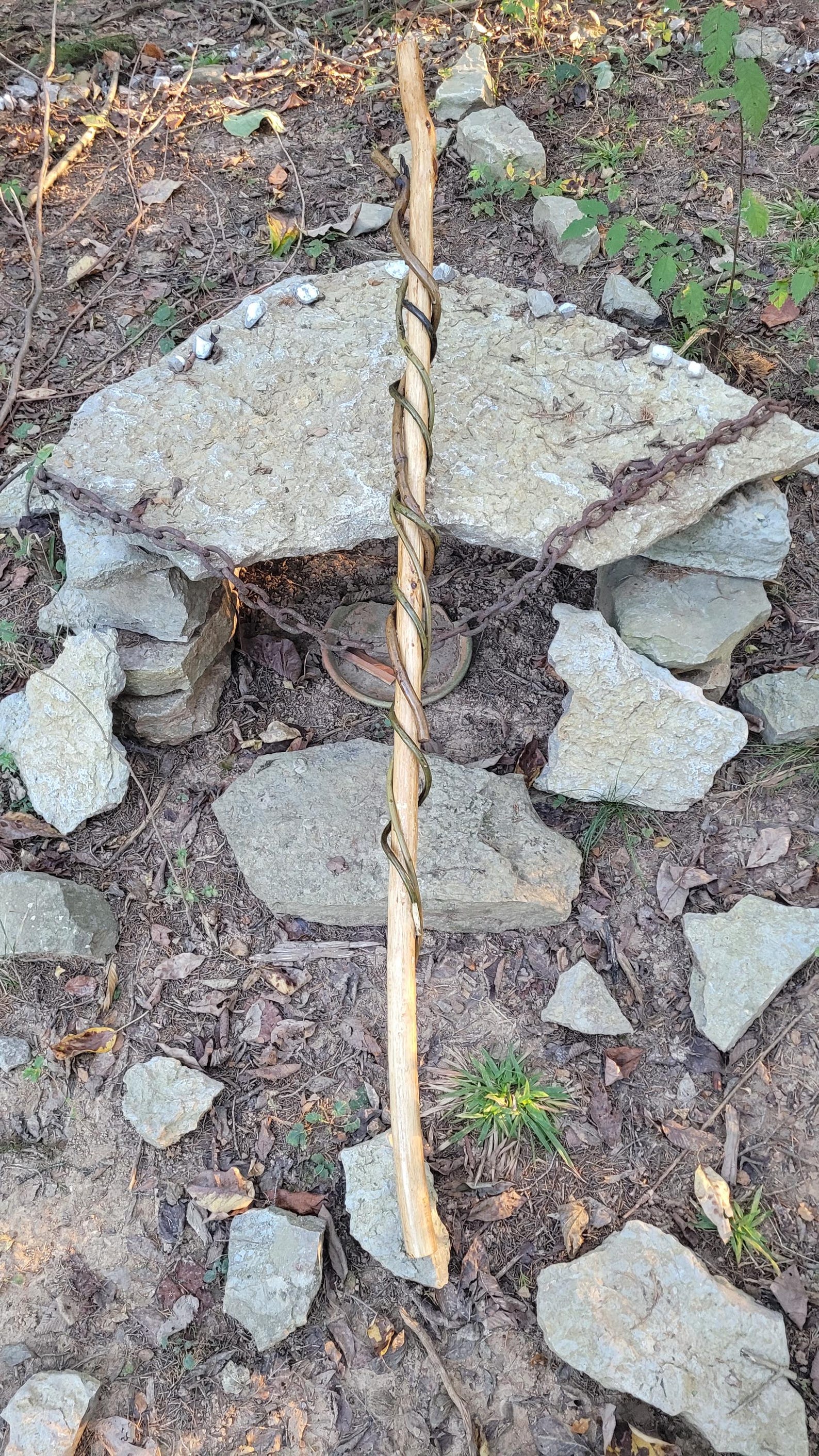 Bodak Twisted Staff - Etsy