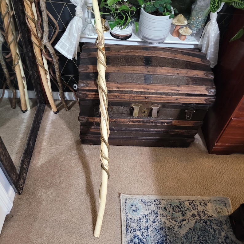 Bodak Twisted Staff - Etsy
