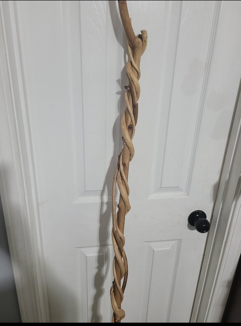 Bodak Twisted Staff - Etsy