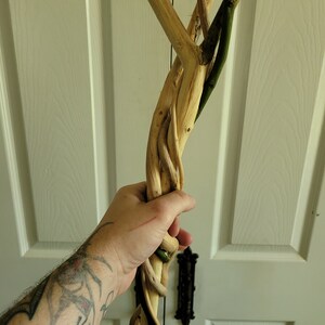Bodak Twisted Staff - Etsy