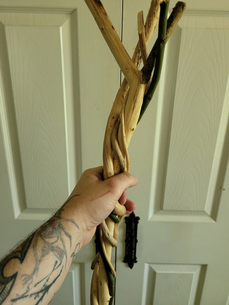 Bodak Twisted Staff - Etsy