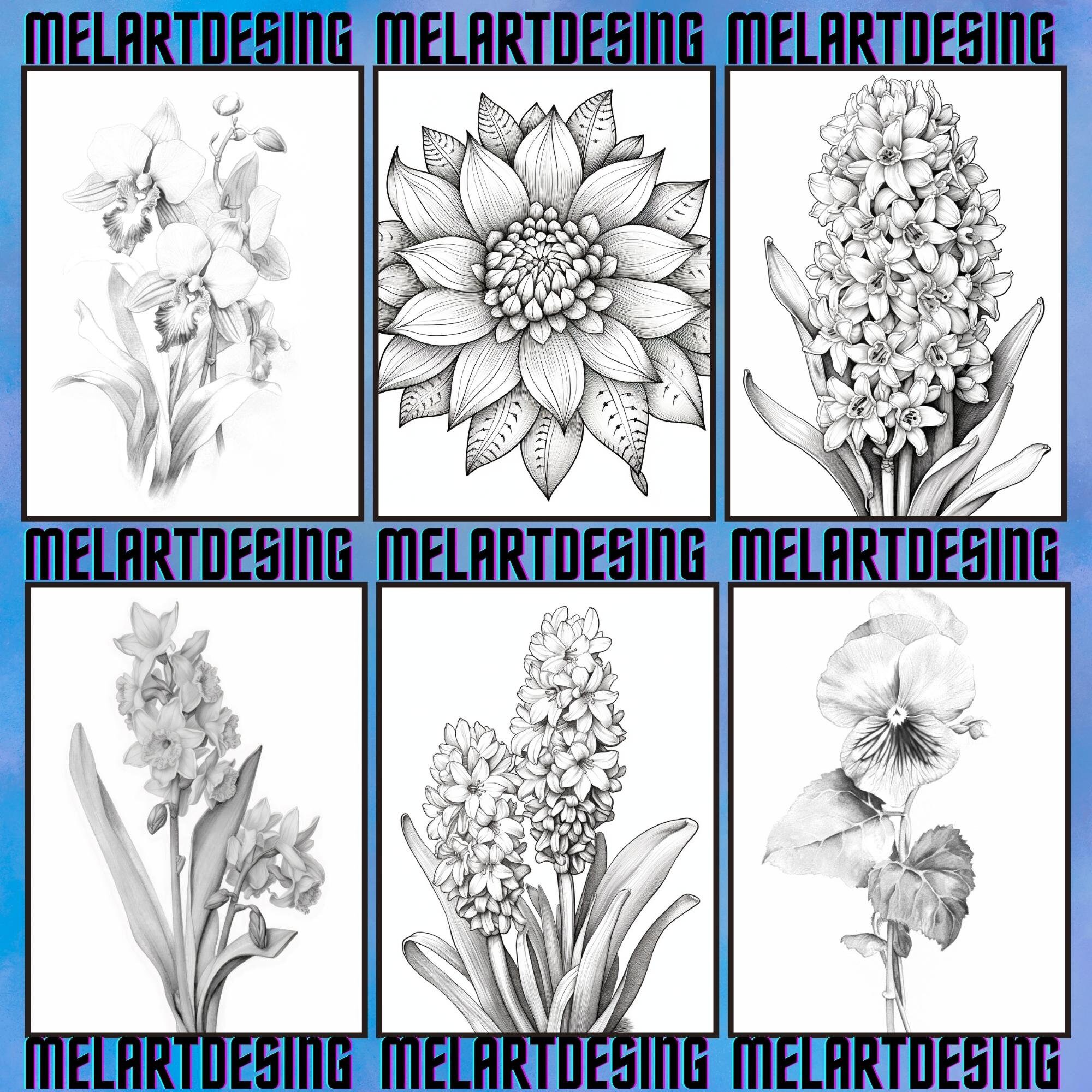 Flower Garden Coloring Pages Set of 32 Printable Pages, Coloring Book ...