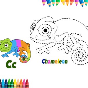 PRINTABLE A-Z Animal Adventures: Connect, Color and Learn With Fun for ...