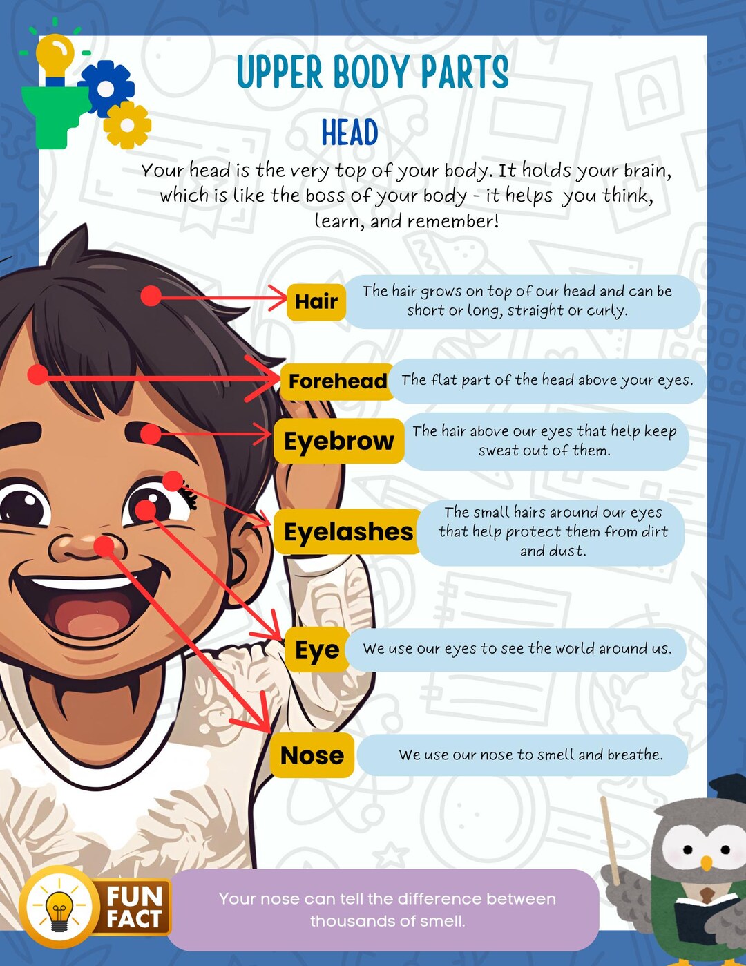 PRINTABLE “explore Your Body: A Fun Guide for Kids” for Toddlers ...