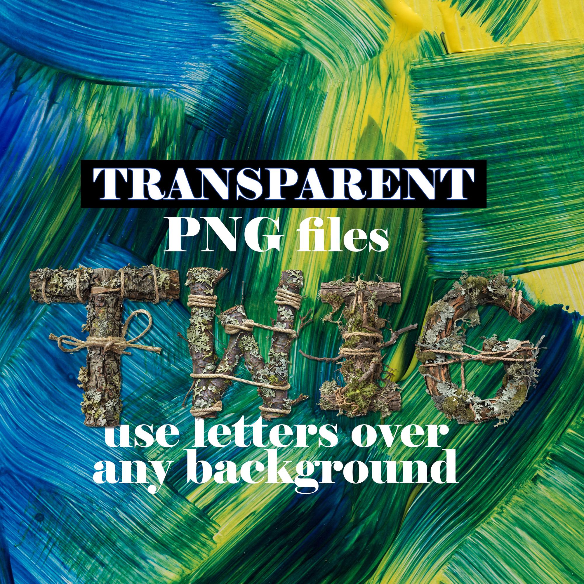 Twig and Twine Letters: Full Alphabet PNG Set on Transparent ...