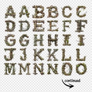 Twig and Twine Letters: Full Alphabet PNG Set on Transparent ...