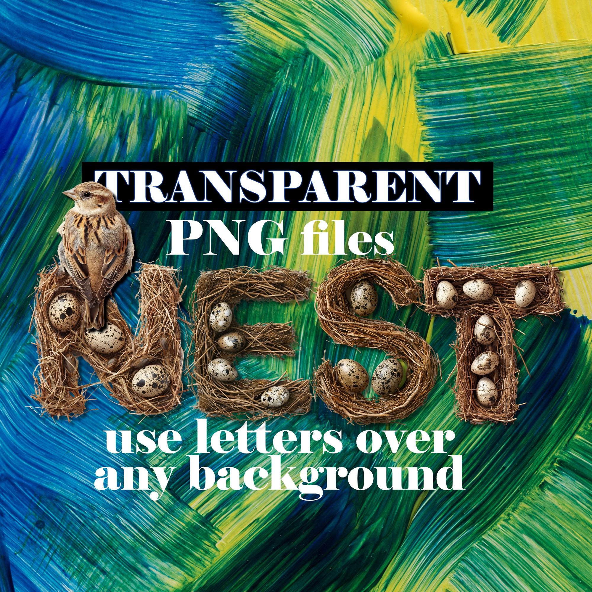 Bird Nest Letters: Full Alphabet PNG Set on Transparent Backgrounds ...