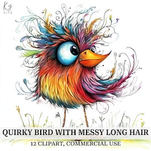 12 Quirky Bird Clipart, Messy Long Hair, Frazzled Hair, Printable ...
