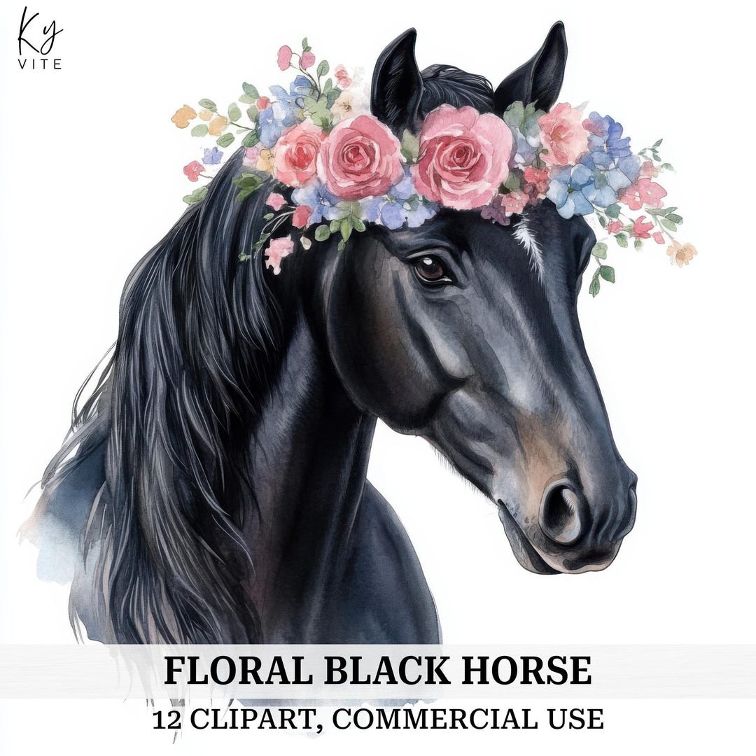 Floral Black Horse Clipart: Watercolor Style (digital Download, CU ...