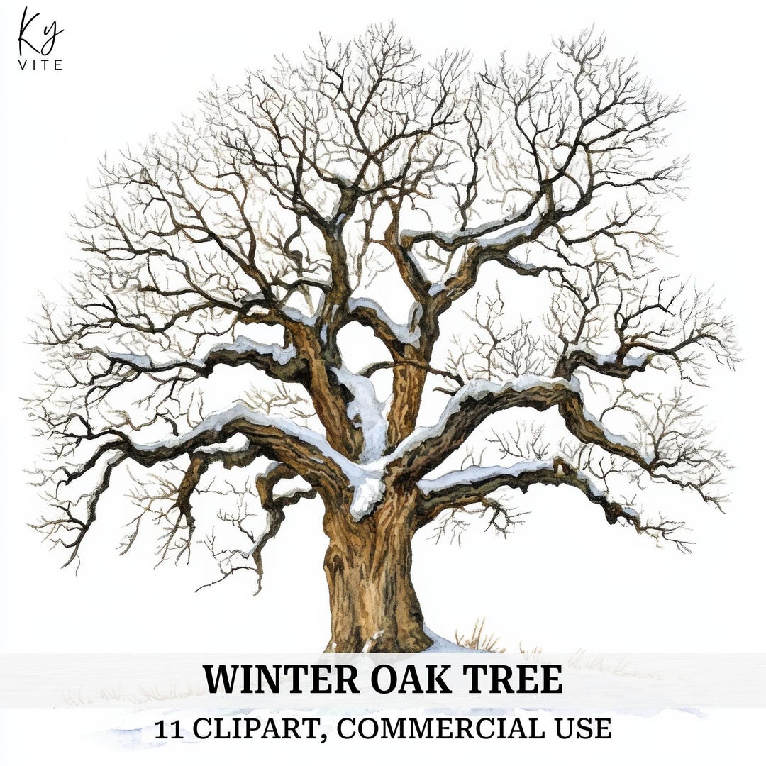 12 Winter Oak Tree Clipart, Tree With Snow, Printable Watercolor Clipart, Paper Craft ...
