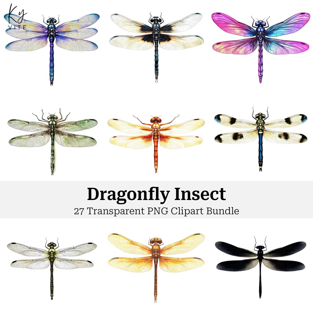 27 Dragonfly Clipart, Vintage Insect Fussy Cut Transparent PNG Bundle ...