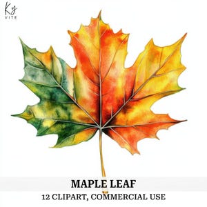 12 Vibrant Maple Leaf, Autumn Maple Leaf, Printable Watercolor Clipart ...