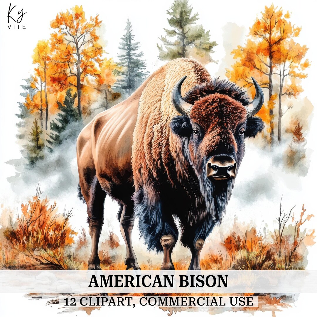 12 American Bison Clipart, Majestic Bison, Printable Watercolor Clipart ...