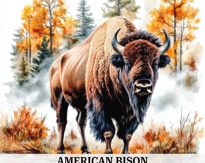 Watercolor Baby Bison Clipart: DIY Decor, Commercial Use (digital ...