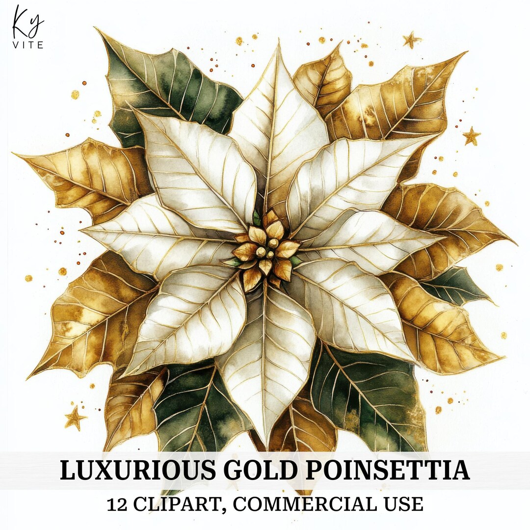 12 Luxurious Gold Poinsettia Clipart, Christmas Poinsettia, Winter ...