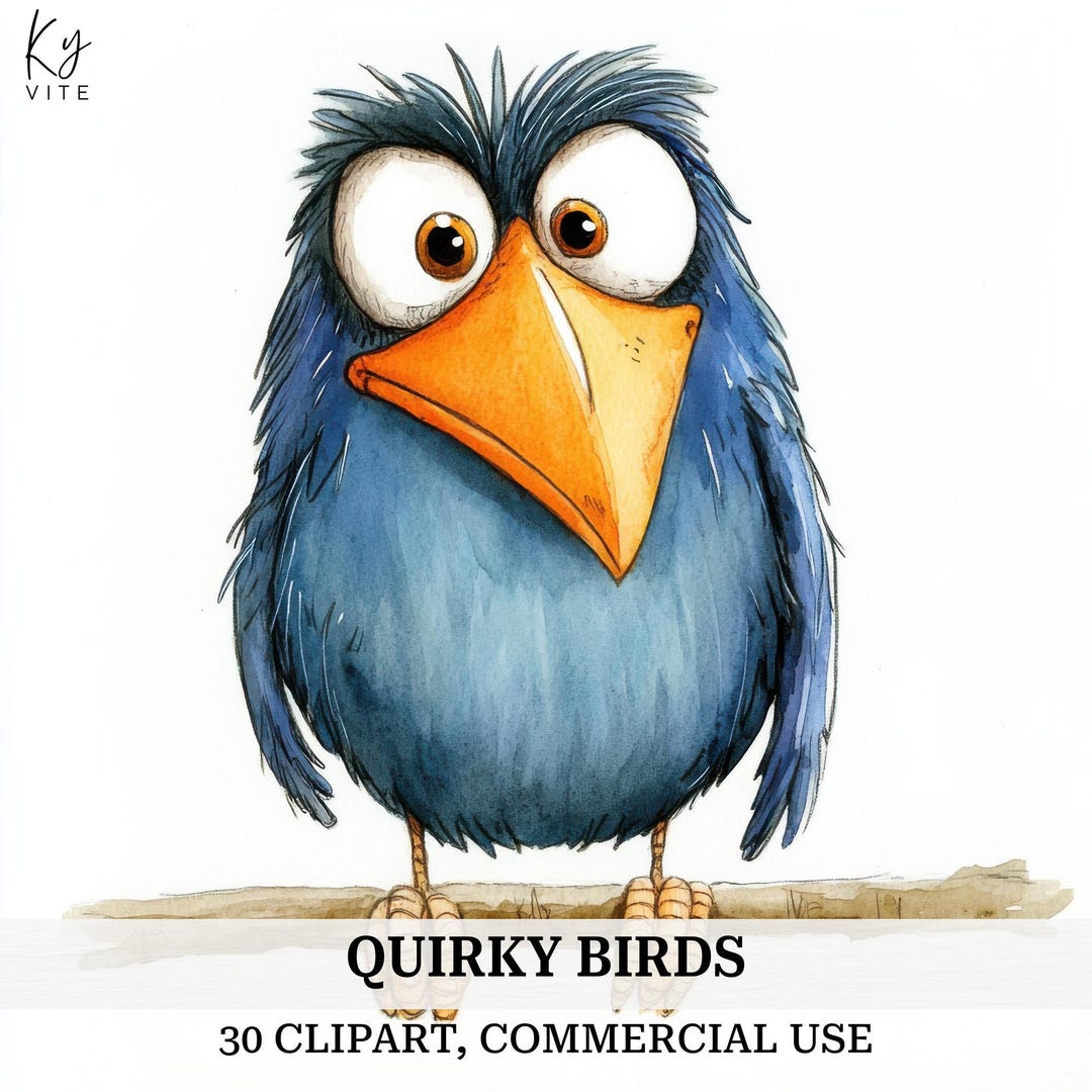 30 Quirky Bird Clipart, Funny Bird, Fussy Bird, Printable Watercolor ...