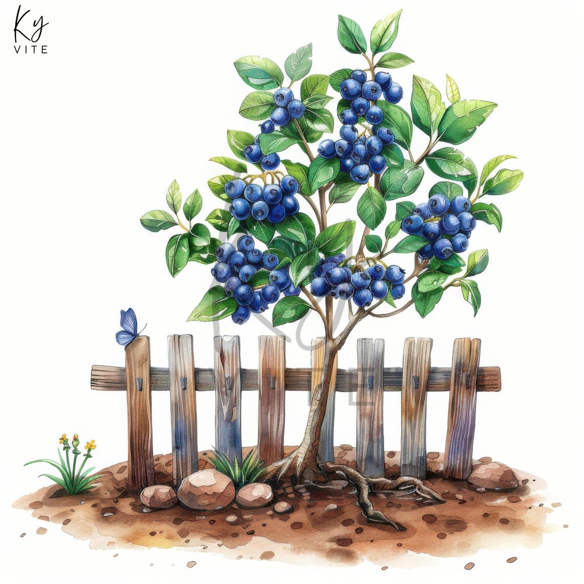 11 Blueberry Bush Watercolor Gardening Clipart, for Paper Crafting ...