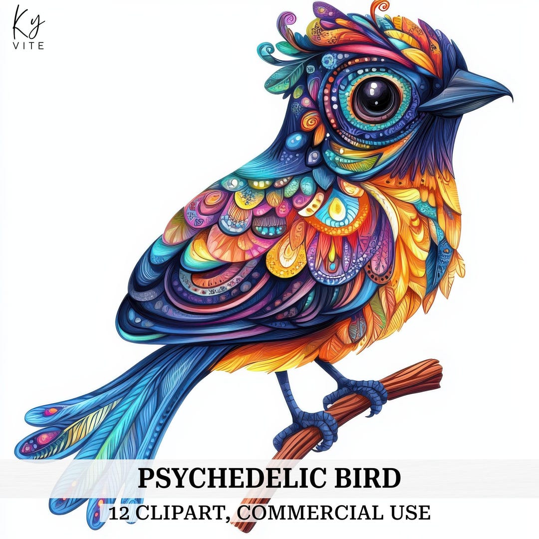 12 Psychedelic Bird Clipart, Colorful Bird Art, Printable Watercolor ...
