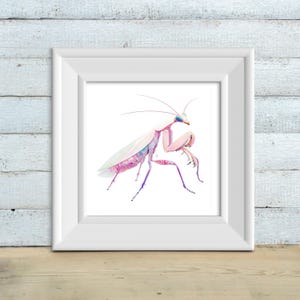 22 Mantis Clipart, Vintage Insect Fussy Cut, Transparent PNG Bundle ...