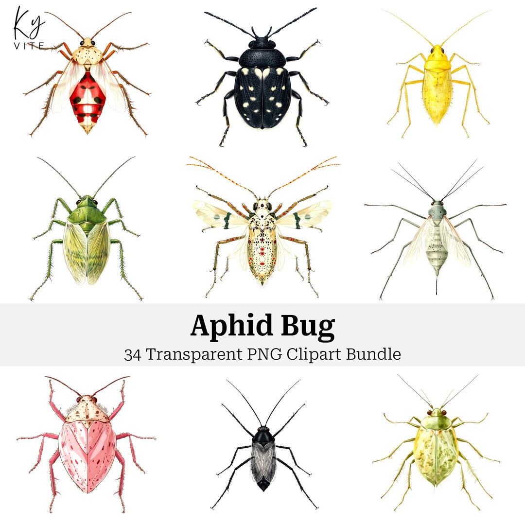 Vintage Aphid Bug Clipart Bundle: Transparent PNG for Junk Journals ...