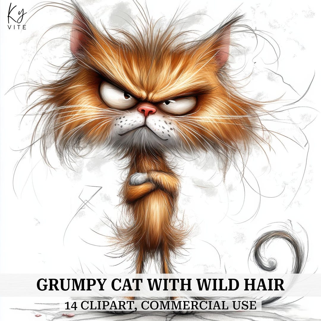 14 Grumpy Cat Clipart, Frazzled Hair Cat, Printable Watercolor Clipart ...