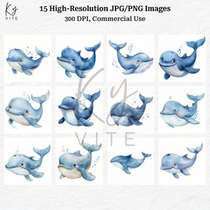15 Whale Clipart, Nursery Whale, Cartoon Whales, Printable Watercolor ...