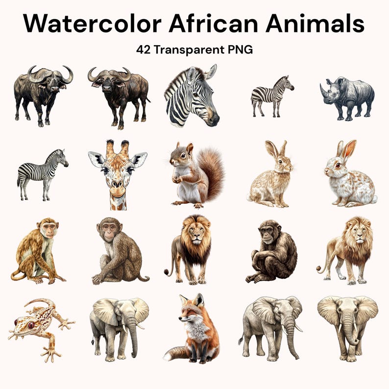 African Animal Clipart: Safari PNG Bundle for Collage (digital Download ...