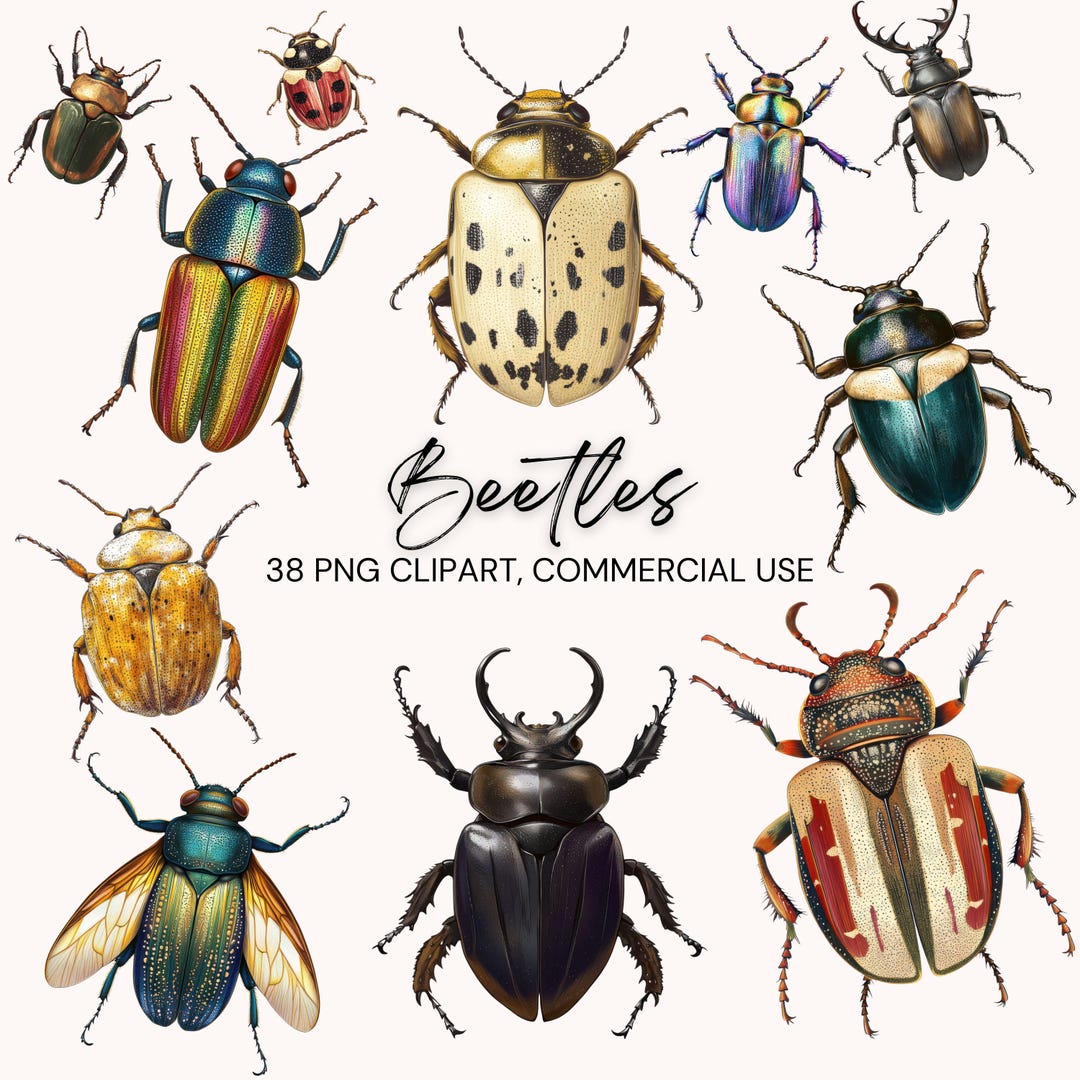 Watercolor Beetle Clipart, Vintage Insect PNG Digital Download, Antique ...