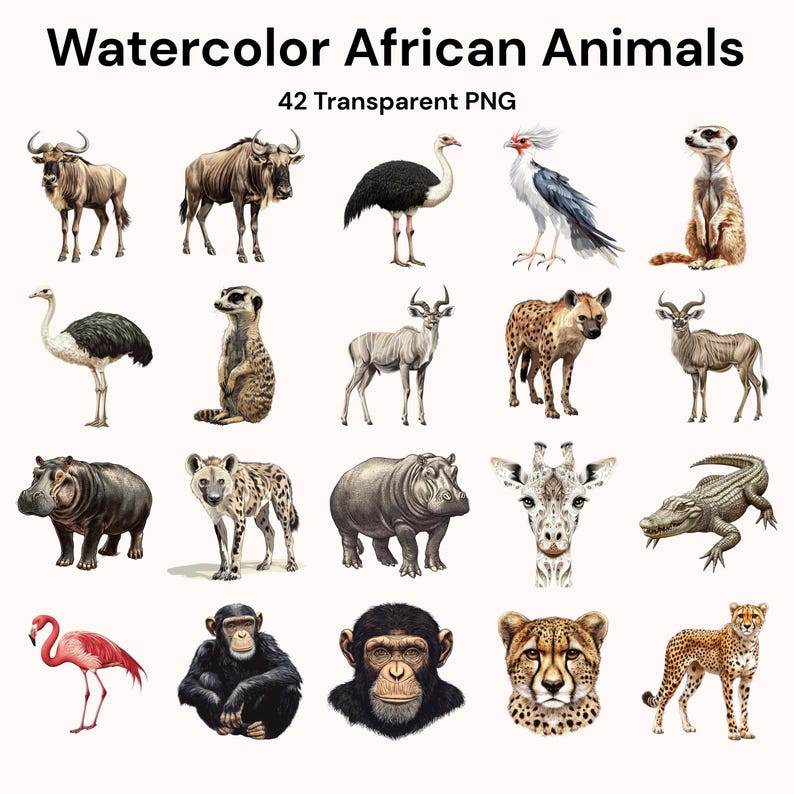 African Animal Clipart: Safari PNG Bundle for Collage (digital Download ...