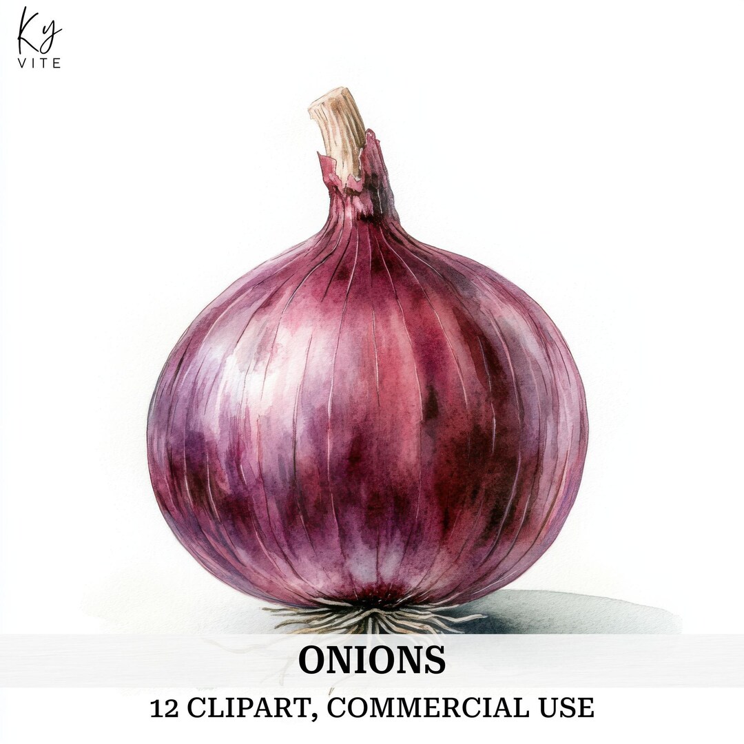 12 Onions Clipart, Onion Print, Kitchen Food, Printable Watercolor ...
