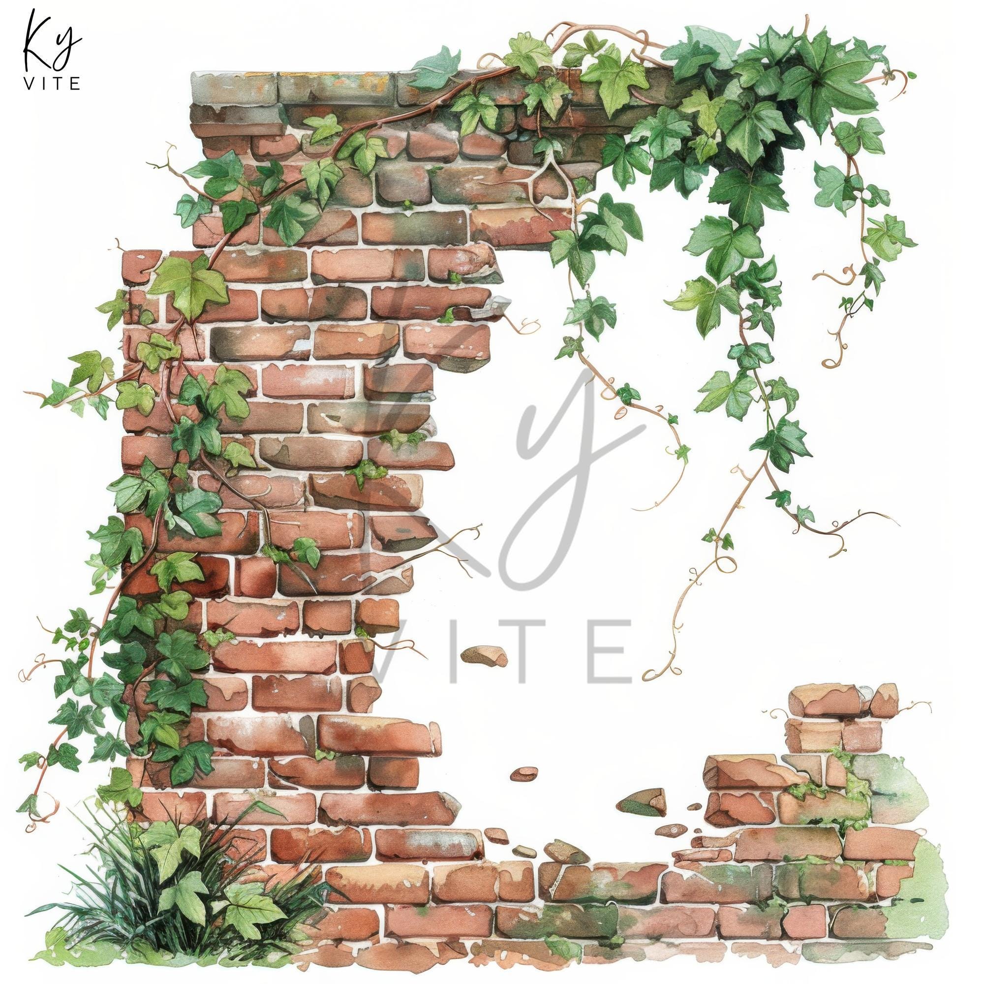 12 Watercolor Brick Wall and Vines Clipart, Printable Vintage Brick ...