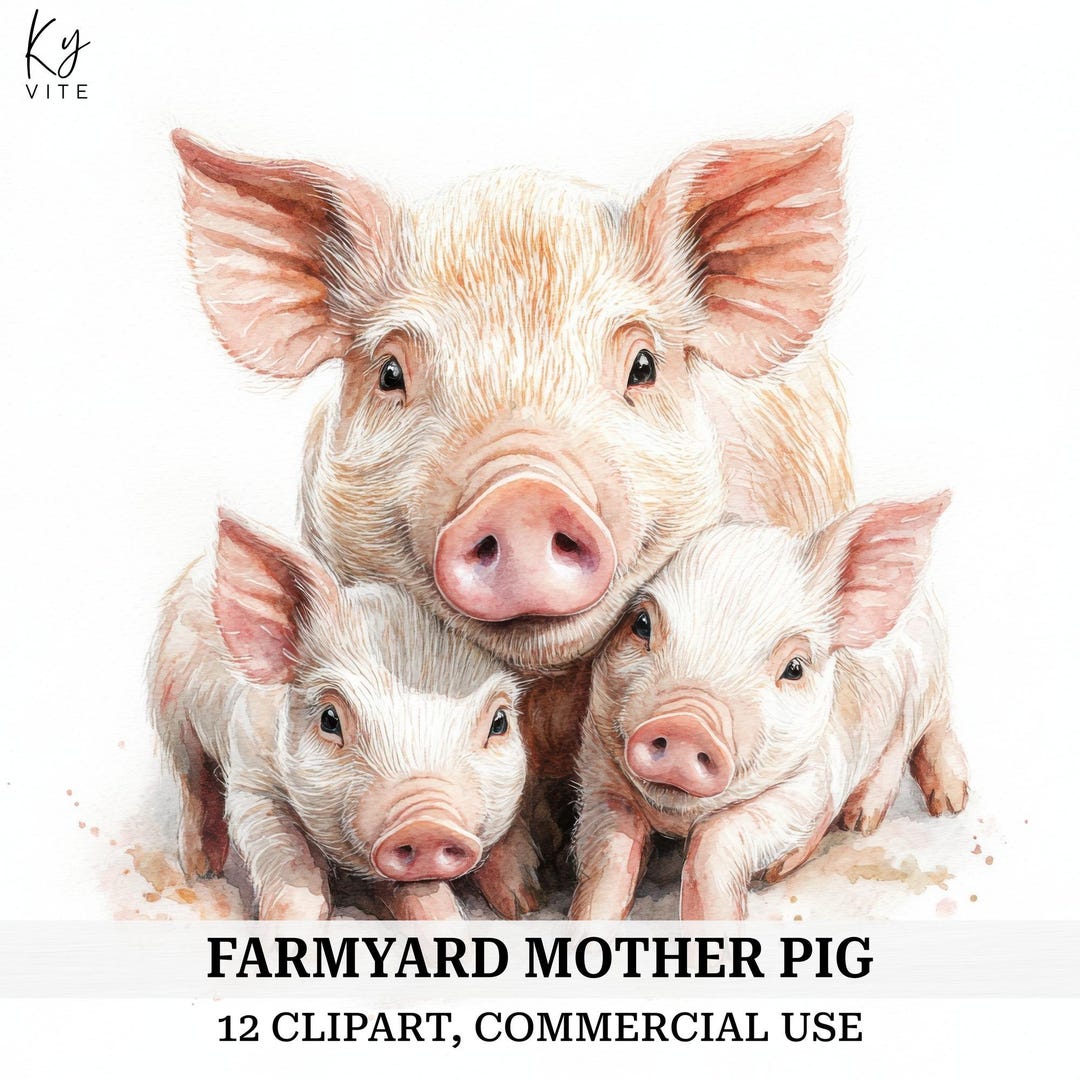 12 Mother Pig Clipart, Pig With Little Piglets, Printable Watercolor ...