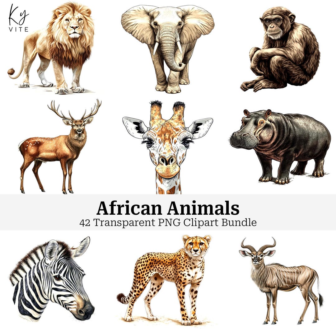 42 African Animal Clipart, Safari Animals, Transparent PNG Bundle ...