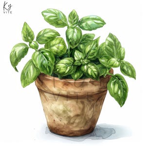 12 Herbs in a Pot Clipart, Rustic Herb Pot, Printable Watercolor ...