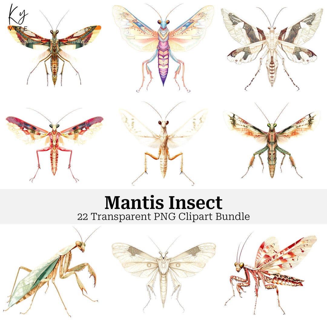 22 Mantis Clipart, Vintage Insect Fussy Cut, Transparent PNG Bundle ...