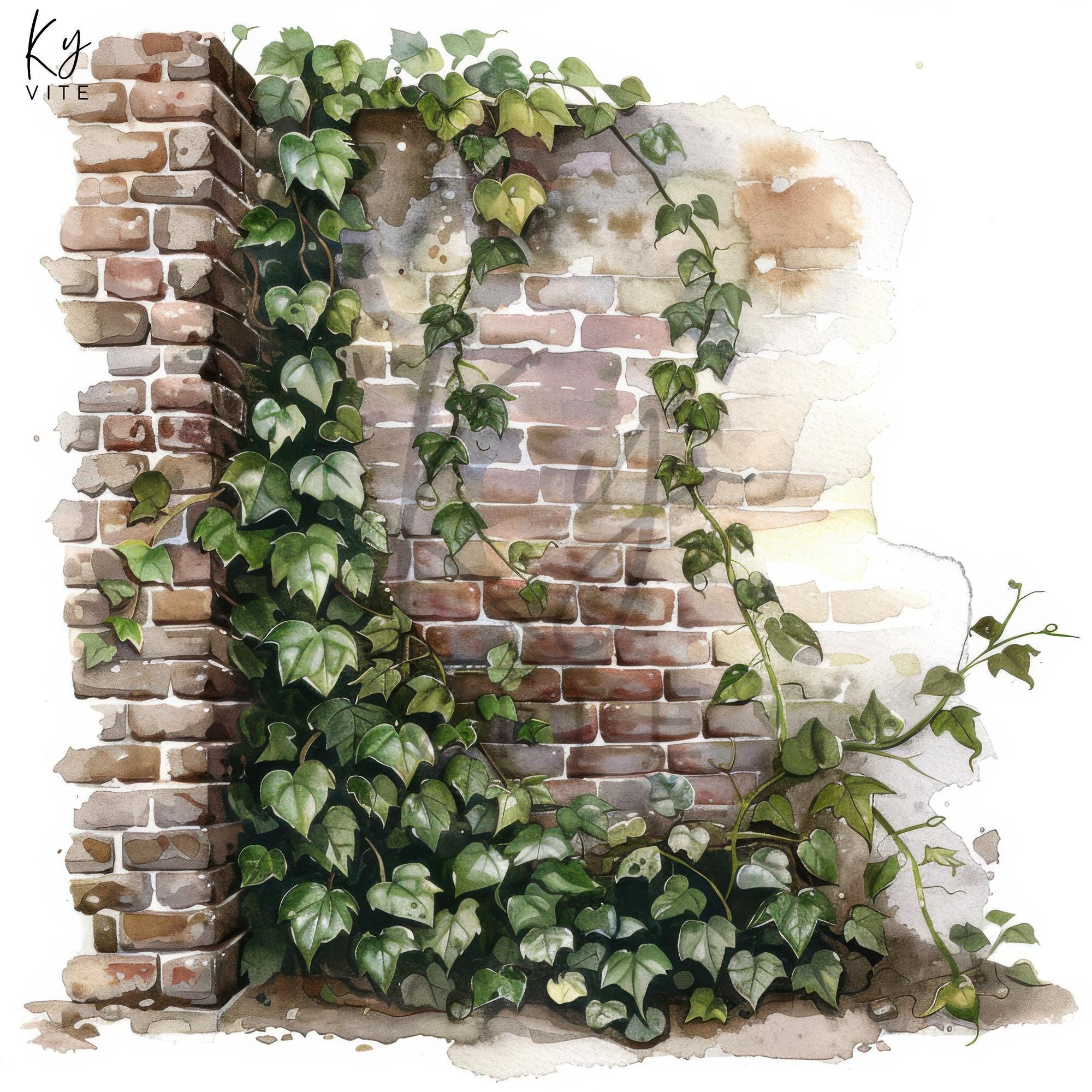 12 Watercolor Brick Wall and Vines Clipart, Printable Vintage Brick ...