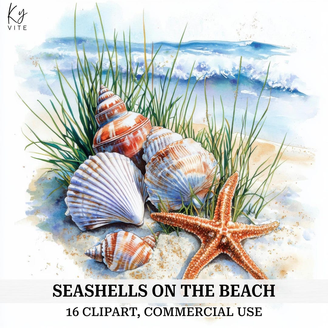 16 Seashells on the Beach Clipart, Ocean Sea, Printable Watercolor ...