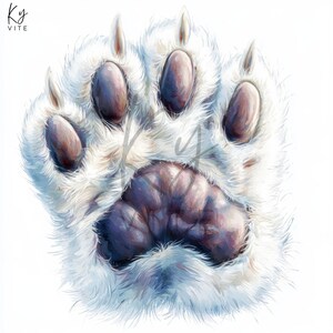 15 Dog Paw Illustration Clipart, Paw Drawing, Dog Paw Print Printable ...