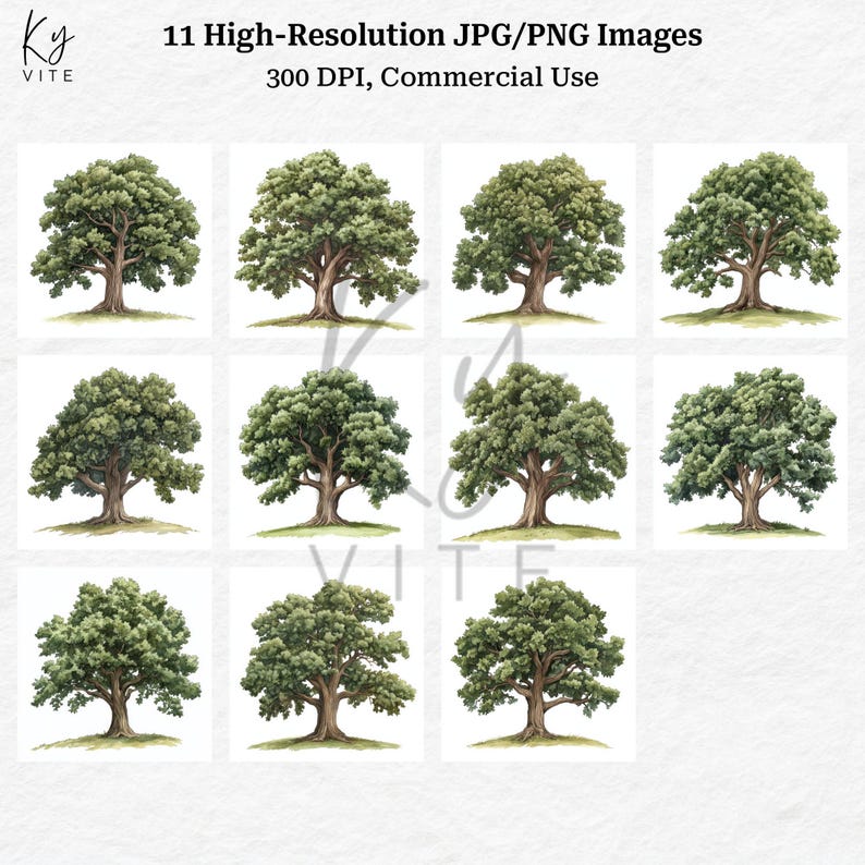 12 Oak Tree Watercolor Printable Clipart, Tree Clipart, Digital Clip ...