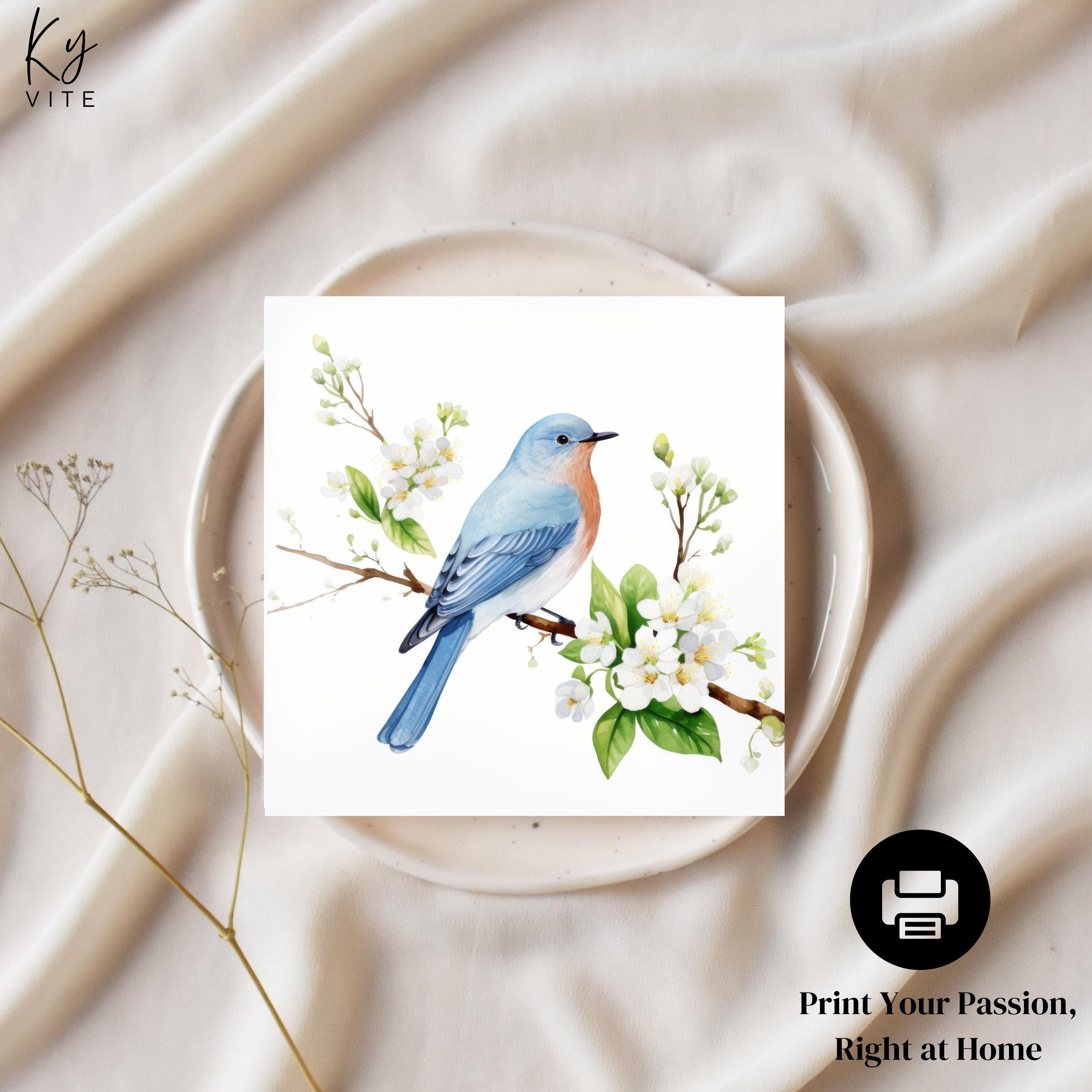 15 Eastern Bluebird Clipart, Printable Watercolor Clipart, Paper Craft ...