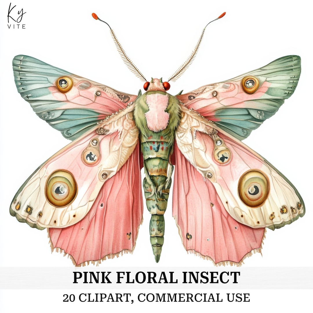 Pink Floral Moth Clipart: Watercolor Insect Illustrations (digital ...