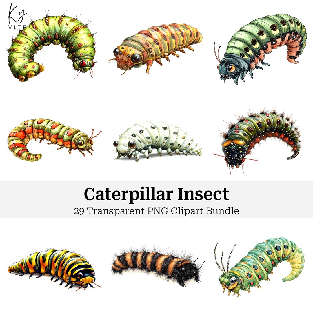 29 Caterpillar Clipart, Vintage Caterpillar Fussy Cut Transparent PNG ...